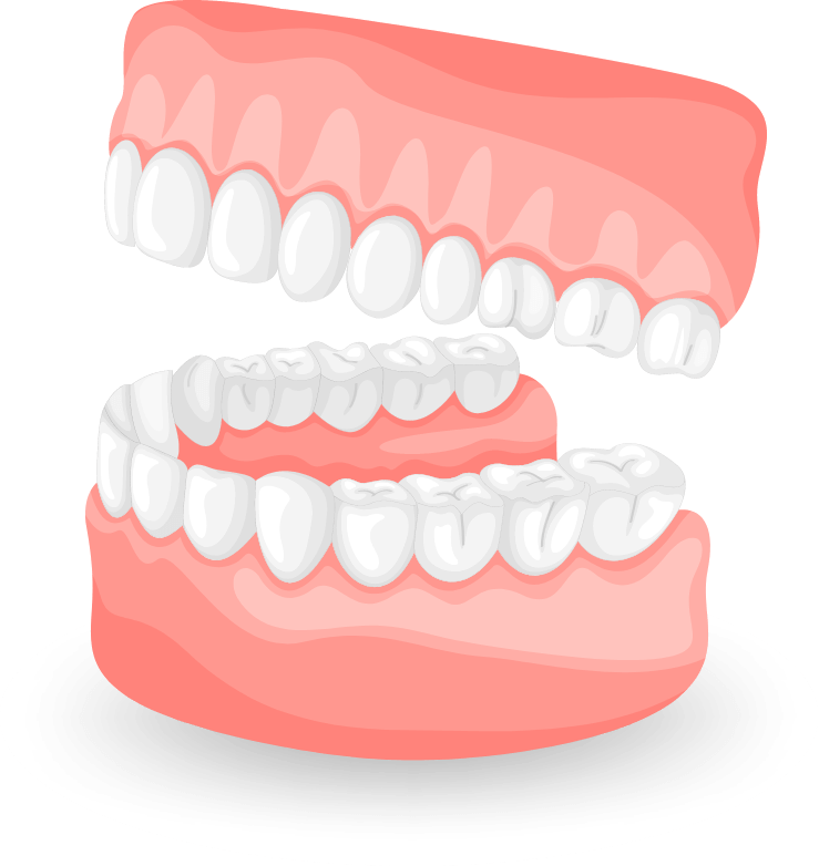 Dental Myths - Fact or Fiction? - Ashfield Dental Centre